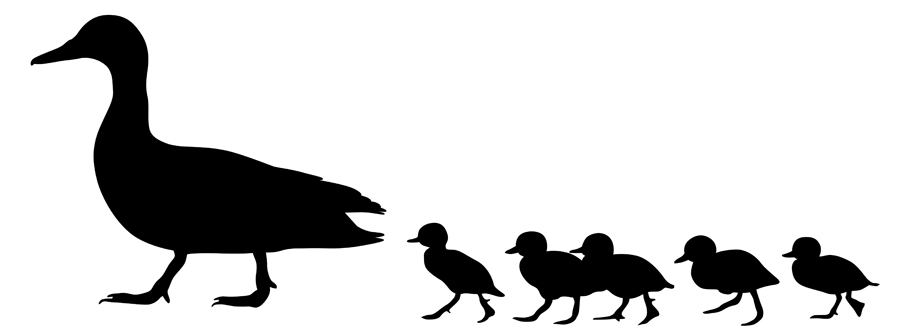 If it Looks Like a Duck... IRS Vows Increased Enforcement Of ...